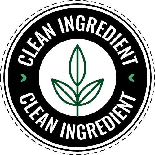 Mo's Bakery — Mo's Bakery